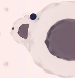 Custom Biomimetic Liposome Synthesis - BOC Sciences